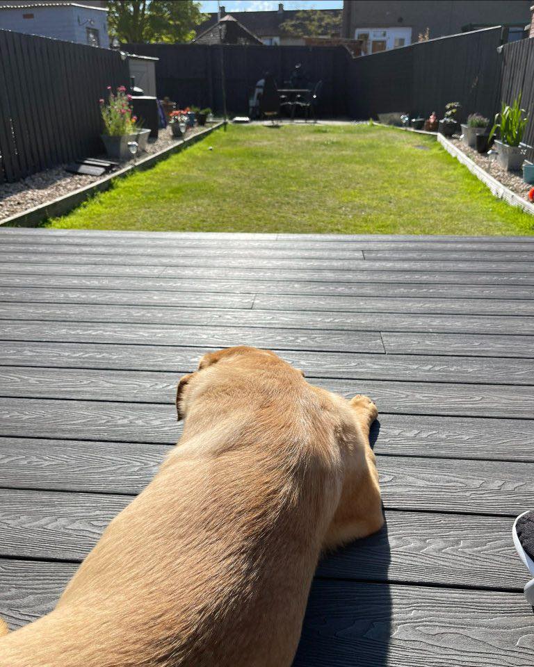 Composite decking - Aviva Stone Sussex